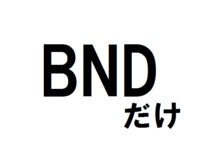 株式はS&P500だけ。(ドル建)債券はBNDだけに決めました | S&P500で資産形成